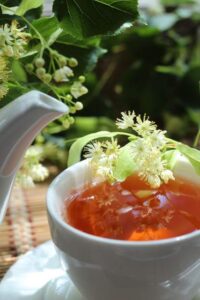 Explore The Hebridean Tea Store In Stornoway | Finest Loose Leaf Tea